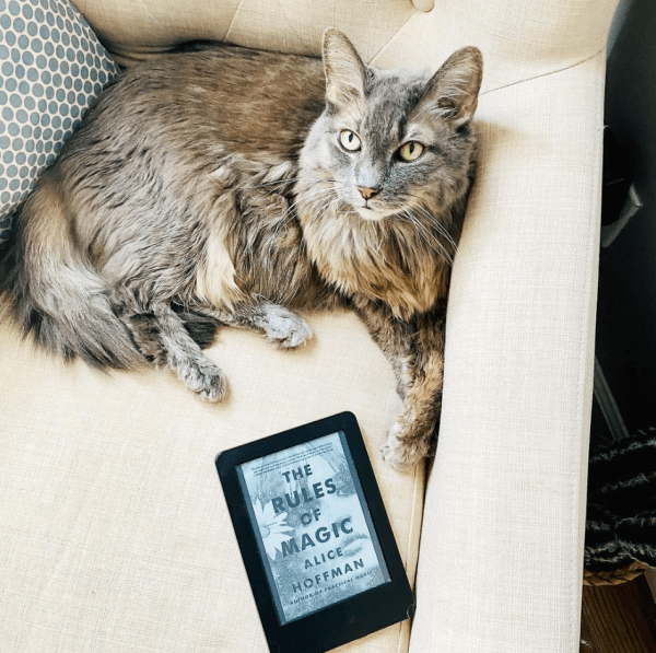 Practical Magic Series Review – BookNerdalie